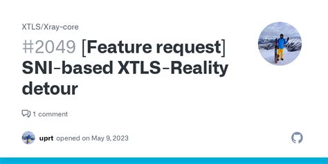 Feature Request Sni Based Xtls Reality Detour Issue Xtls Xray Core Github