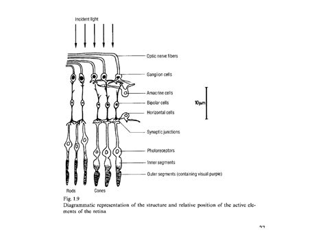 Modulation Transfer Function Mtf Ppt