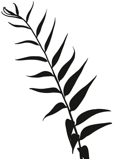 Shadow Leaves Silhouette Tropical Branch Leaf Overlay Element Object For Spring Summer Mock