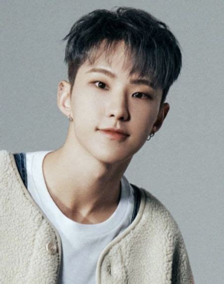 Codegraphy Hoshi Seventeen Seventeen Debut Hoshi
