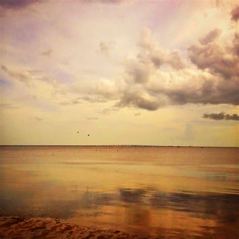 Elevation Of On Top Of The World Clearwater Fl Usa Topographic Map