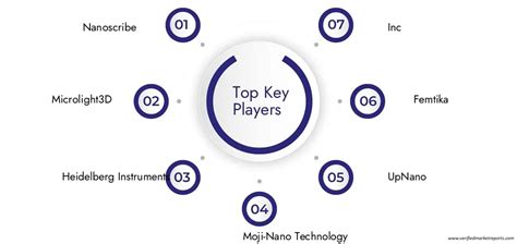 Two Photon Polymerization Lithography Systems Market Size Industry Share Insights And Forecast 2033