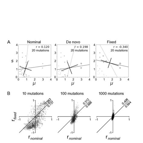 How A Joint Distribution Of Selection Coecients And Mutation Rates Is