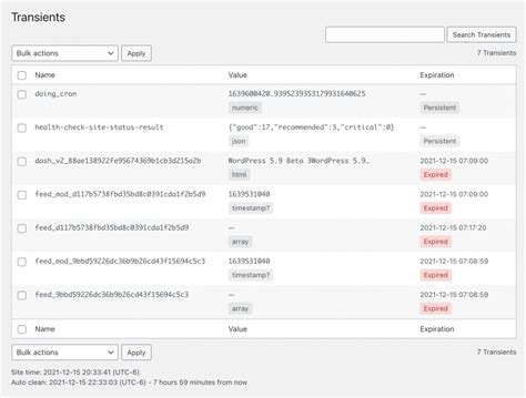 Delete Expired Wordpress Transients 🚮 Wpxss