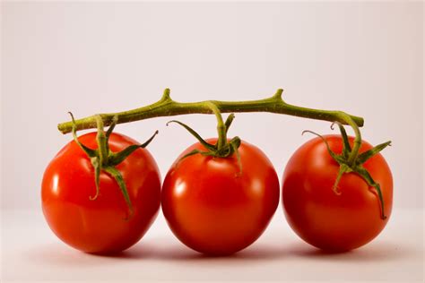 당연히 같은 줄 알았다” 토마토와 방울토마토 충격적인 차이 오늘뭐먹지