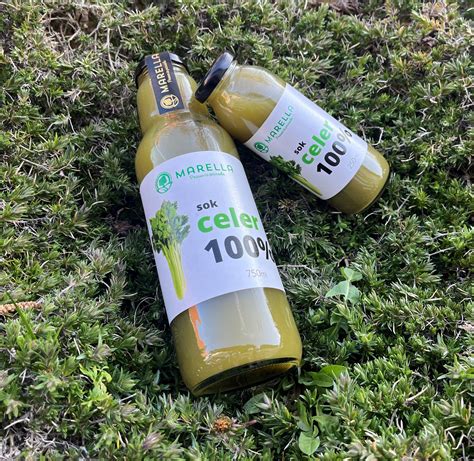 Sok Od Celera Rajnin Domaći Kutak