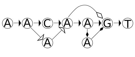 A Dna Sequence And Sequence Variants Represented As A Directed Acyclic Download Scientific