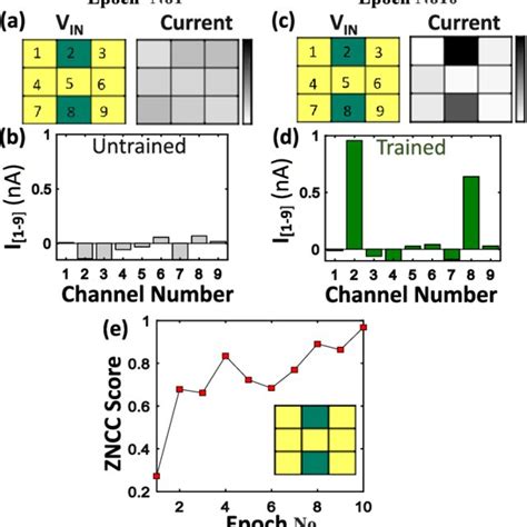 2 Bit Pattern Trainingtest In Epochs 1 And 10 A 2 Bit Input Pattern Download Scientific