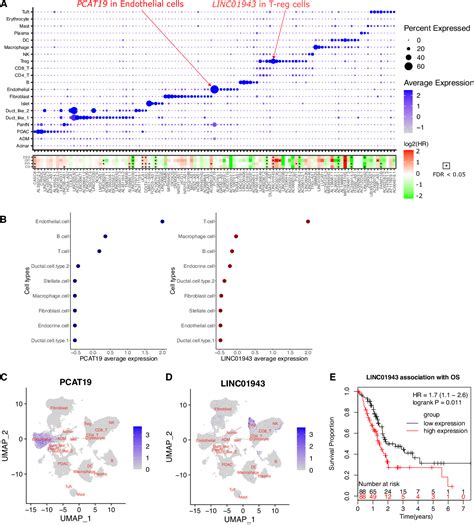 Figure 1 From Single Cell Transcriptomics Reveals Long Noncoding Rnas Associated With Tumor