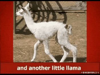 Treehouse Tag PrimoGIF