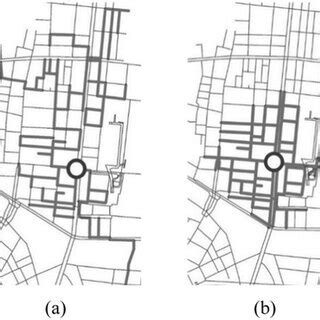 Illustrative Examples Of Sub Networks With A An Irregular Complex