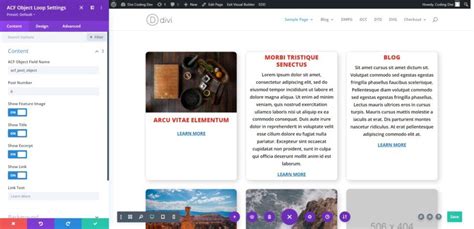 divi acf object loop divi coding store