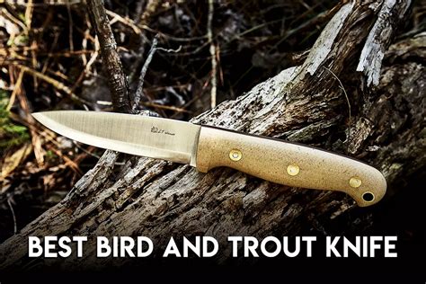 8 Best Bird And Trout Knife Models In 2024