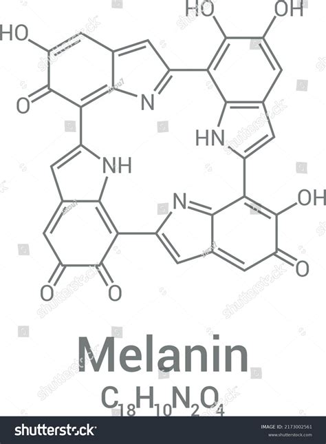 Chemical Structure Melanin C18h10n2o4 Stock Vector Royalty Free 2173002561 Shutterstock