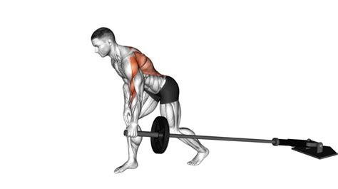 10 Effective Exercises For Pec Major Muscles Workout Guru