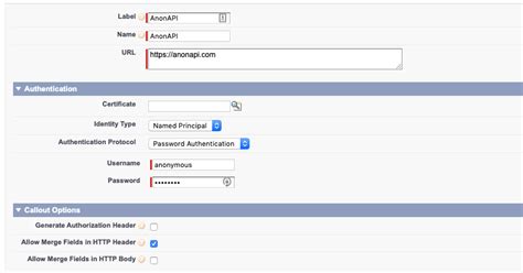 Creating Named Credential With Api Key ~ Hello Salesforce