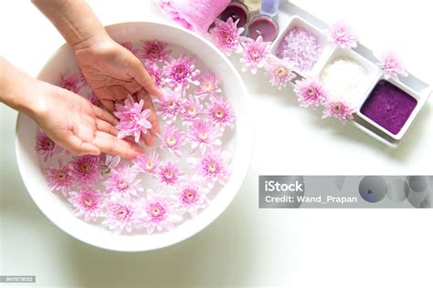 스파 트리트먼트 및 제품 여성 피트와 매니큐어 손톱 핑크 꽃 스파에 대 한 공간 부드러운 복사 하 고 초점 태국을 선택 합니다 건강 한 개념입니다 개념에 대한 스톡 사진 및
