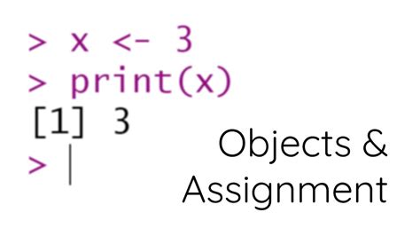 Objects And Assignment Youtube
