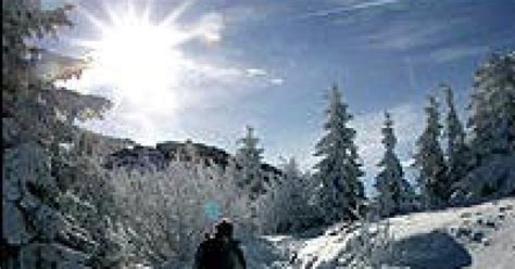 냉대지역 조림 지구온난화에 악영향 Bbc