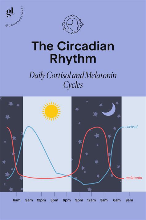 Pin On Inspiration Circadian Rhythm Cortisol Emotional Health