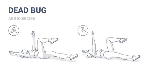 Russian Twists Female Home Workout Exercise Guide Vector Image Russian Twists Female Home Workout Exercise Guide Vector Image