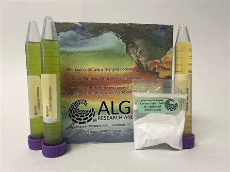 Algae Culture Kit And Growing Supplies Algae Research Supply