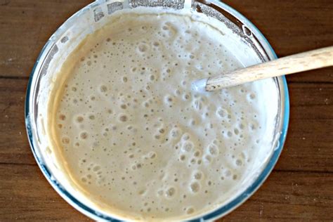 A Basic Sourdough Starter Guide Belgian Foodie