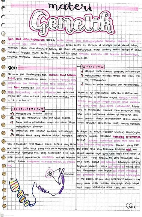 Materi Genetik Kelas 12 Clearnote