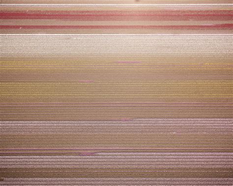 David Burdeny Photography — Designcollector