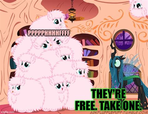 Mlp Fluffle Puff Memes Mlp Fluffle Puff 2025 Afrontartpl