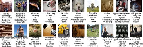 Multiple Instance Learning Convolutional Neural Networks For Object Recognition