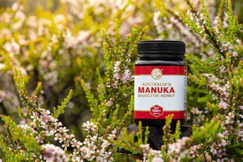 What Is Mgo Methylglyoxal In Manuka Honey Australias Manuka