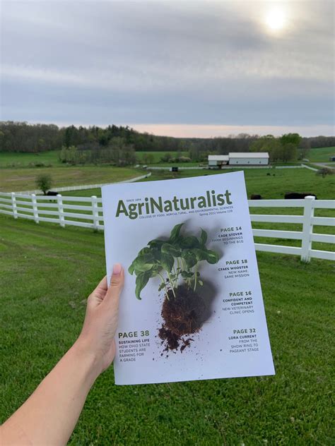 Lucy Pullins Green On Linkedin Thanks Mallary This Wouldnt Have