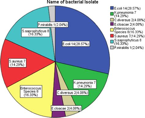 The Proportion Of Bacterial Uropathogens Isolated From Urinary Stone