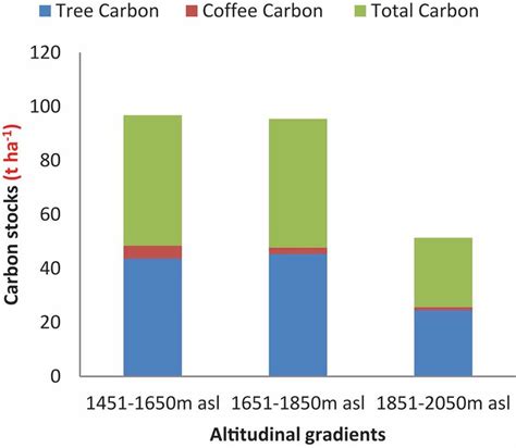 Tree Species And Coffee Shrub Biomass Carbon In Coffee Based Download Scientific Diagram