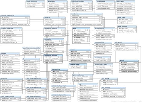 （1）go数据库存储结构详解（从数据库构建角度解析）go Term 数据库 Csdn博客