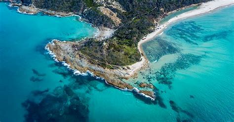 Best Of Moreton Bay Our World Adventure