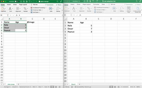 How To Use Indesign Data Merge For Text And Image Automation Be The Bean