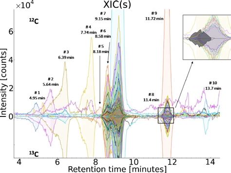 Eics Extracted By Metextract Positive Intensities Show The Eics Of The
