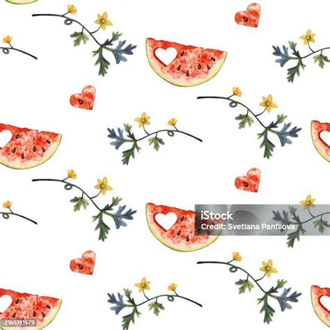 흰색 배경에 수박과 나뭇잎의 수채화 조각의 완벽 한 패턴 전국 수박의 날 건강한 생활방식에 대한 스톡 벡터 아트 및 기타 이미지 건강한 생활방식 과일 노란색 배경
