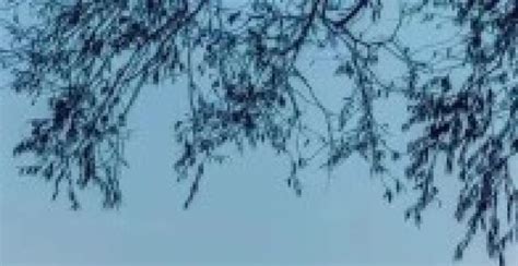 人机协同的意图 腾讯新闻