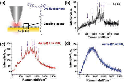 A Schematic Diagram Of Shell‐isolated Tip Enhanced Fluorescence And