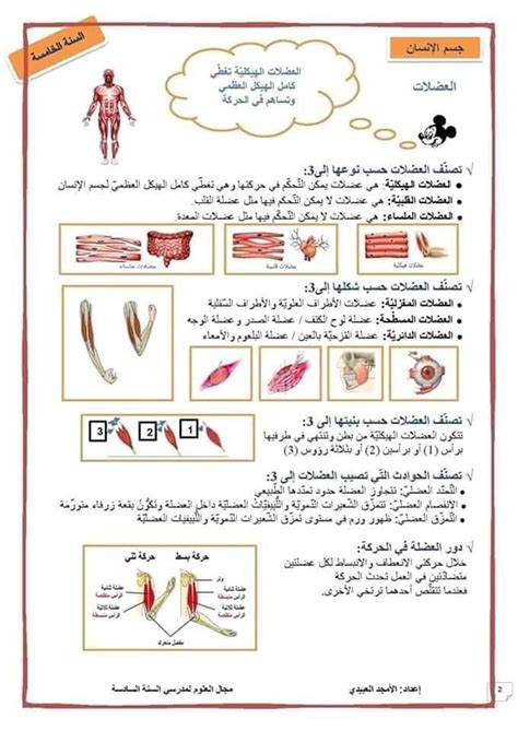 السنة الخامسة المدرسة الابتدائية حي الشواوطة بنقردان