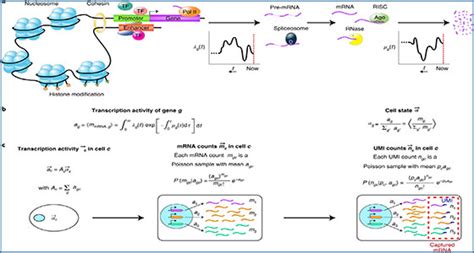 Sanity Bayesian Inference Of Gene Expression States From Single Cell Rna Seq Data Rna Seq Blog