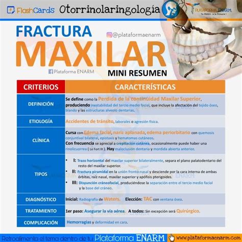 Fractura Maxilar 🩺 Med Student Medicine Nursing Students