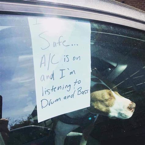 Dnb Kitchen ️ Facebook