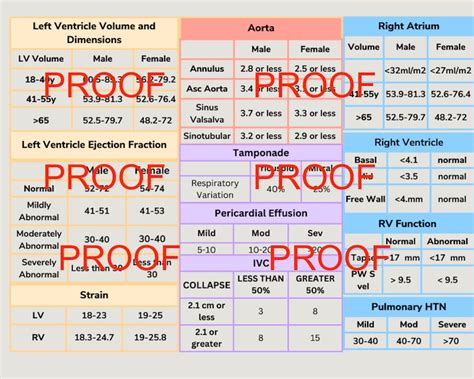 Echo Cheat Sheet Echocardiogram Echo Report Echo Tech Echo Study Guide POCUS Echo Worksheet