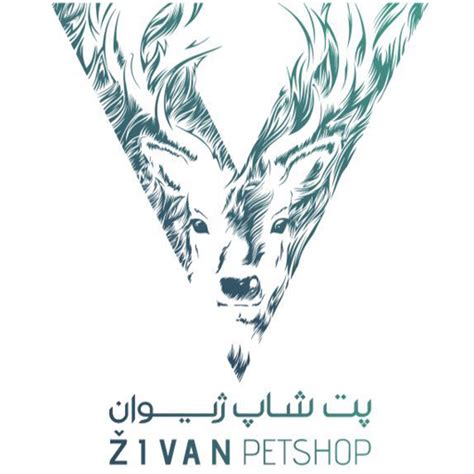 بهترین پت شاپ های ایران