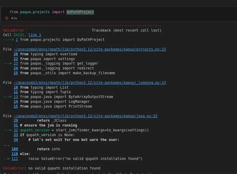 ValueError No Valid Qupath Installation Found Usage Issues Image Sc Forum