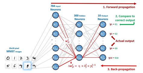 4 Back Propagation Algorithm Applied To A Onehidden Layer Neural